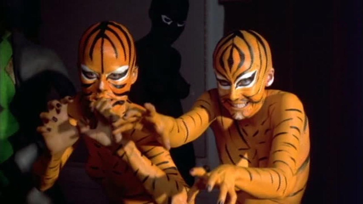 Swedish Wildcats - Apple TV