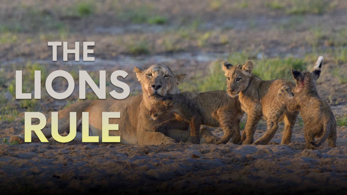 ‎The Lions Rule - Apple TV
