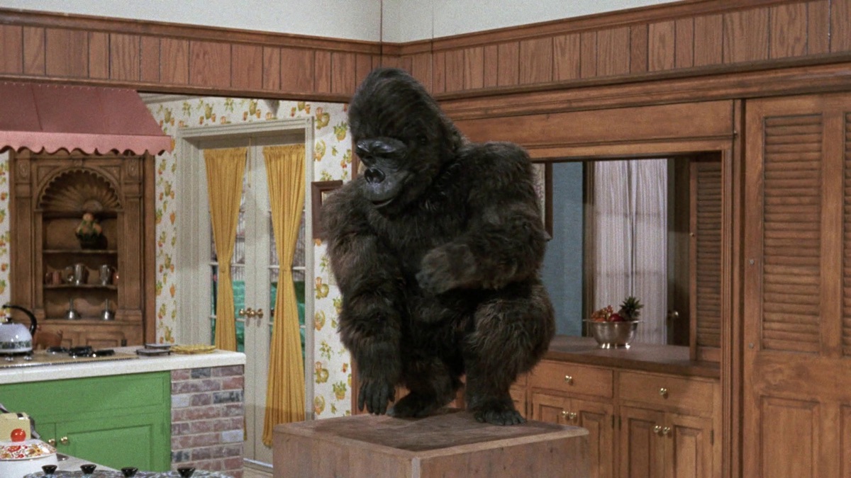 ‎Darrin Goes Ape - Bewitched (Series 7, Episode 22) - Apple TV (CO)