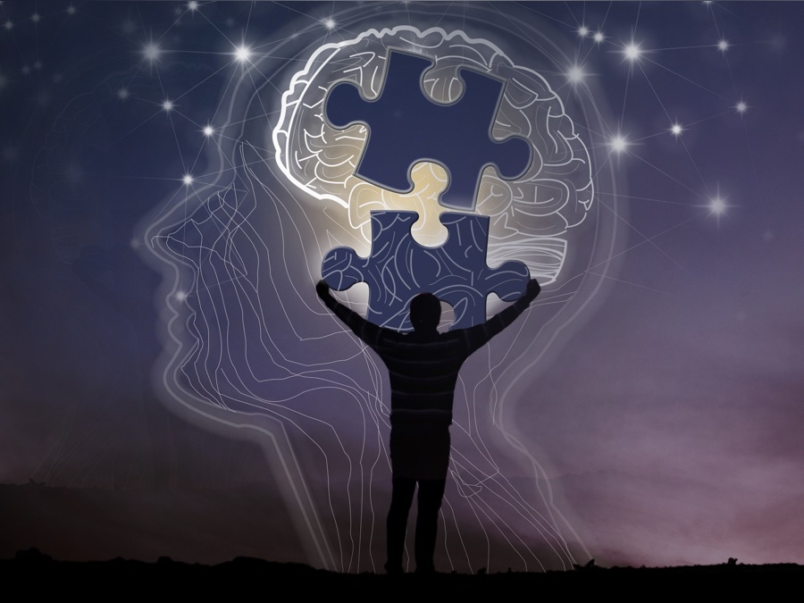 Introduction to Cognitive Science - Apple TV (AU)
