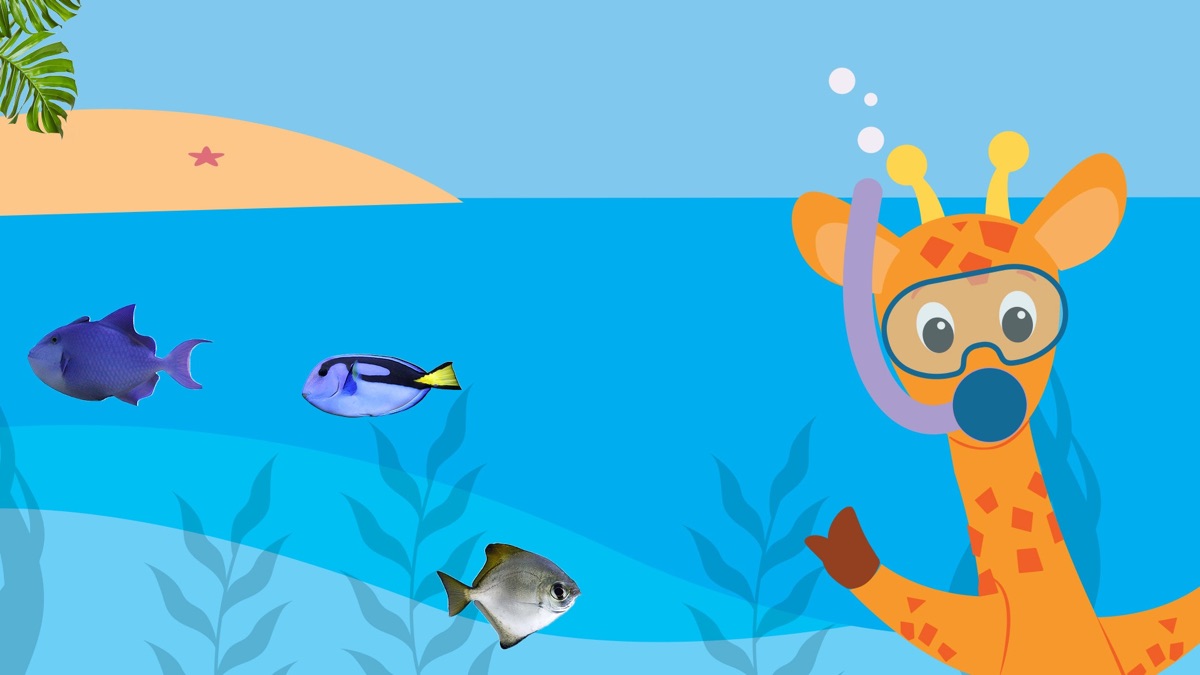 Baby Einstein Baby Neptune