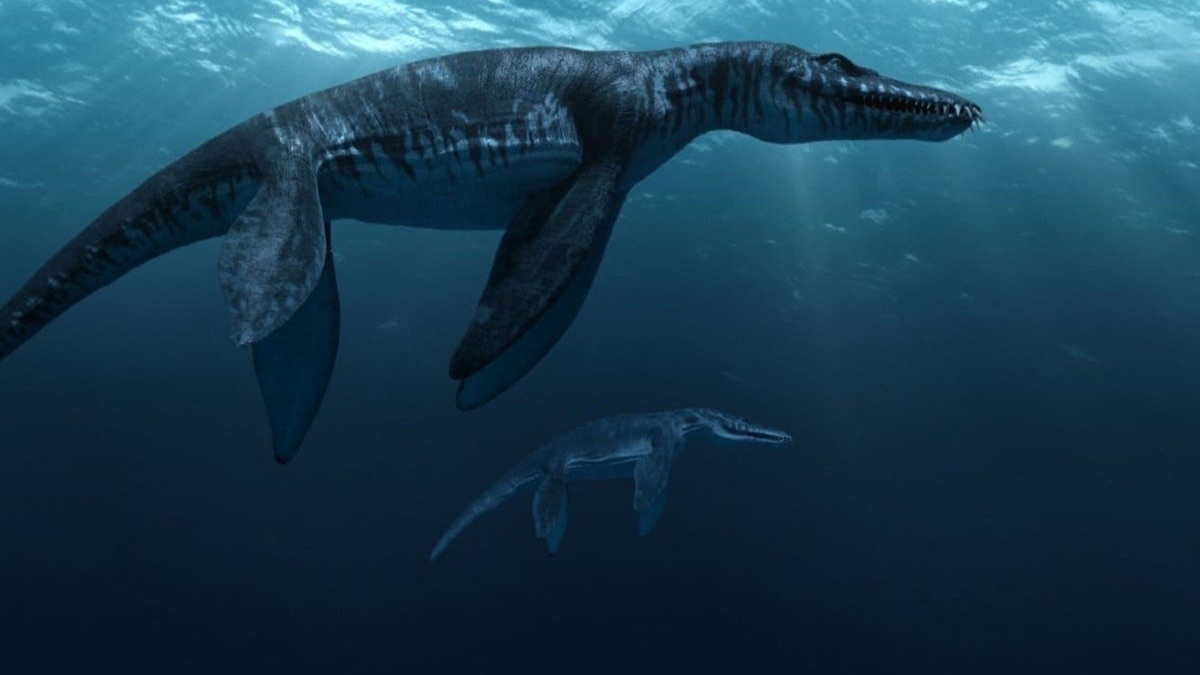 Sea Rex: Journey to a Prehistoric World - Apple TV