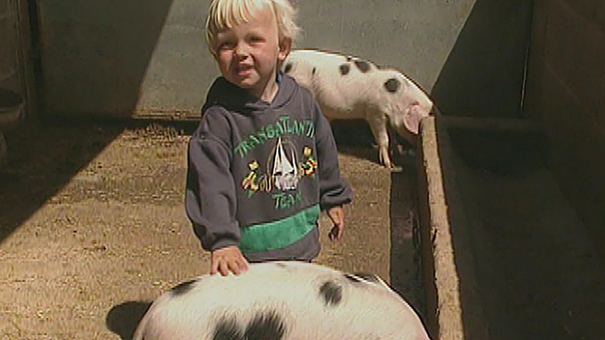 Piglets - Teletubbies (Original Series) (Season 2, Episode 98) - Apple TV