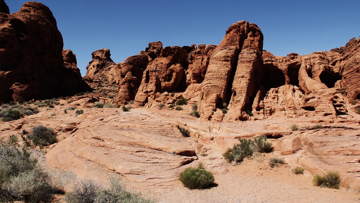 Seed 2: The New Breed - Apple TV (CA)