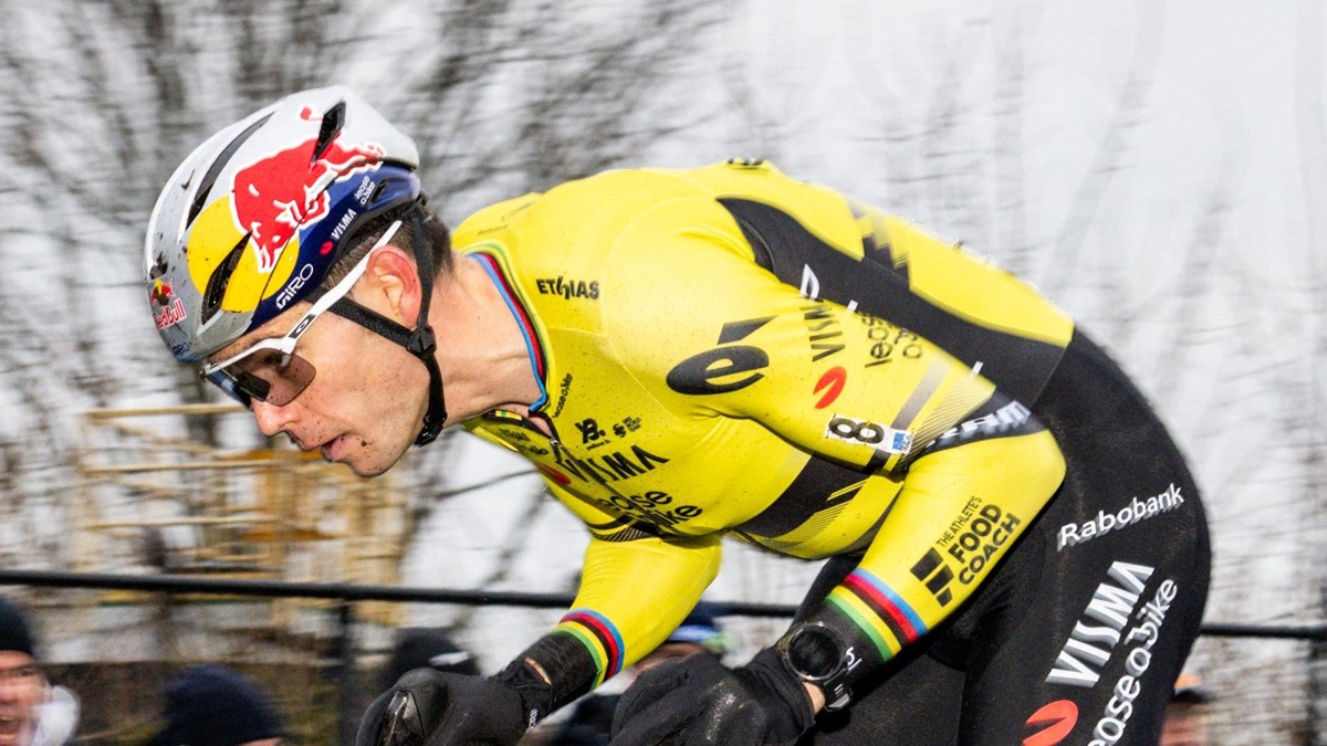 ‎Mol | Männer Elite - Apple TV