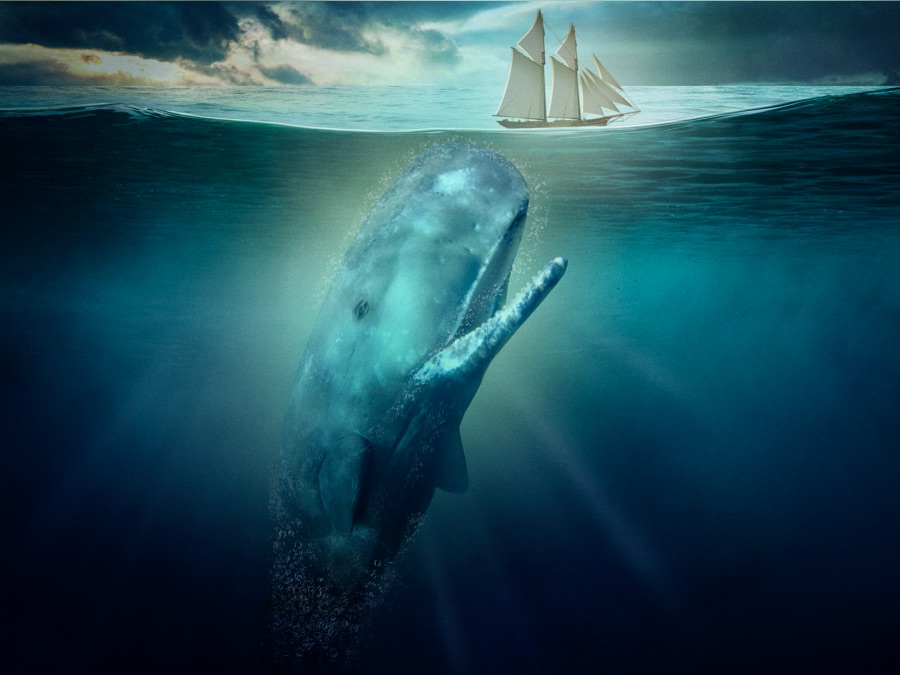 Moby Dick - Apple TV