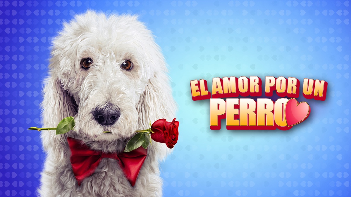‎Amor por el Perro - Apple TV