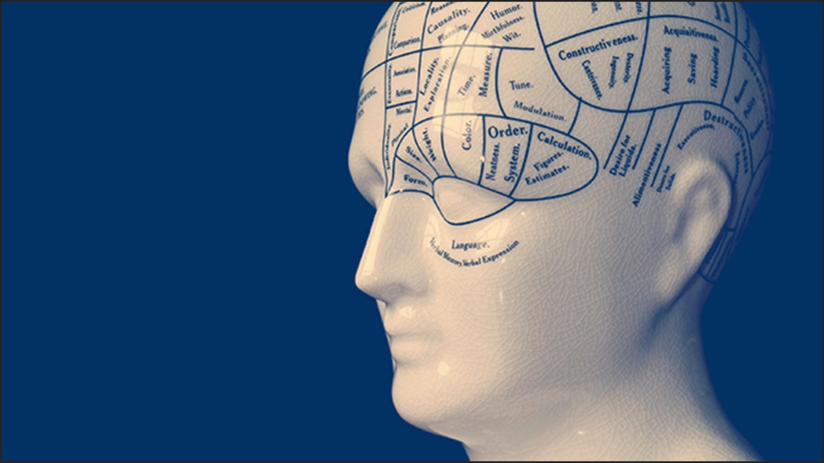 ‎Sentient Evolution - Open Minds (Series 5, Episode 49) - Apple TV (MX)