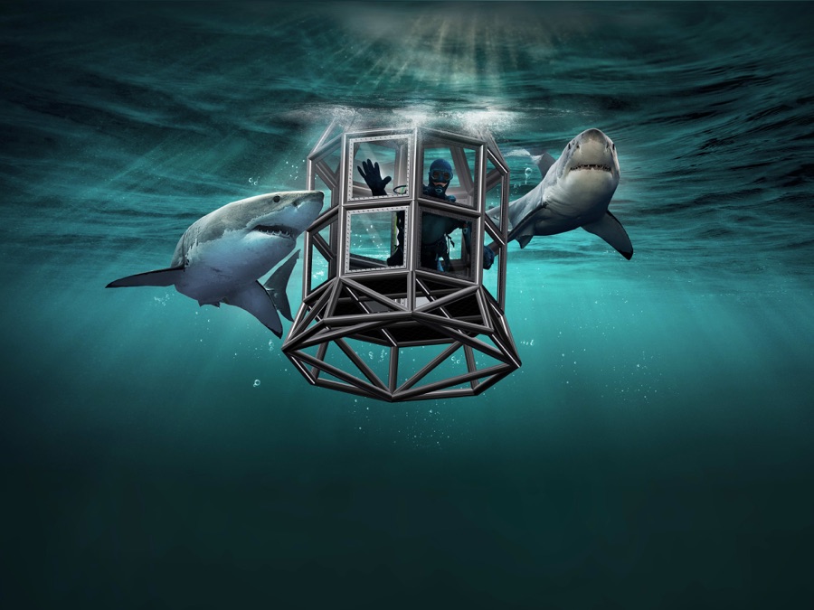 Shark House - Apple TV (MX)