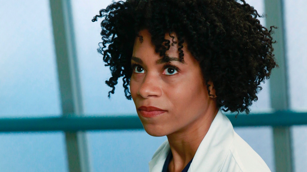 ‎Puzzle With a Piece Missing - Grey's Anatomy (Series 11, Episode 2 ...