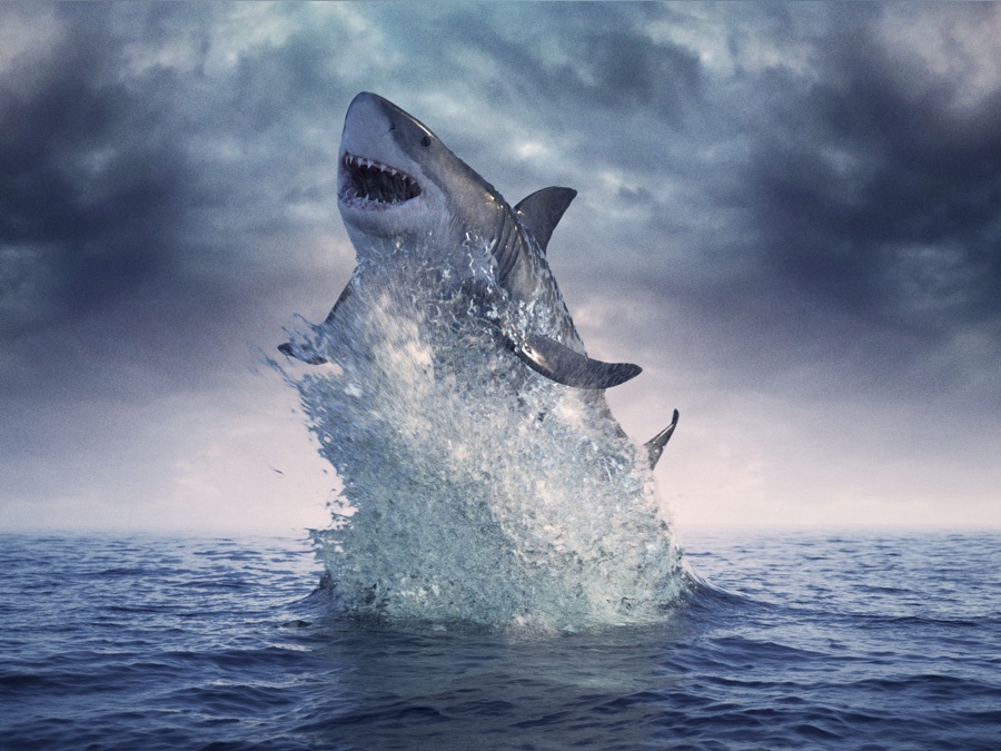 Ultimate Air Jaws - Apple TV