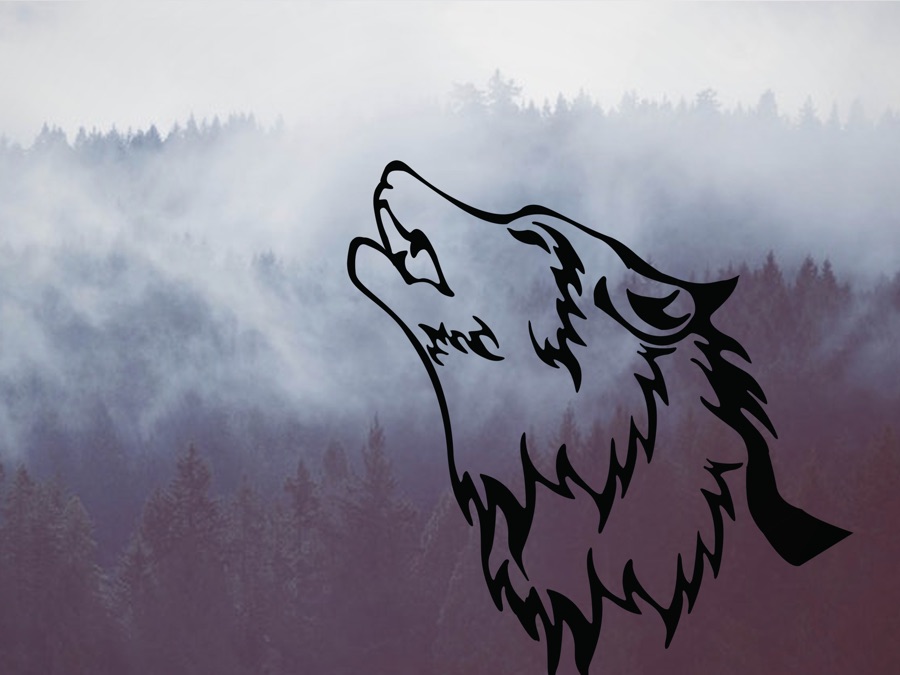 The Wolf Marine Mammal - Apple TV