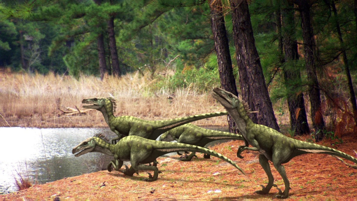 Raptor vs. T-Rex - Jurassic Fight Club (Season 1, Episode 11) - Apple TV