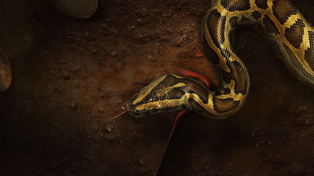 Full Assault - Swamp People: Serpent Invasion (Series 4, Episode 10 ...