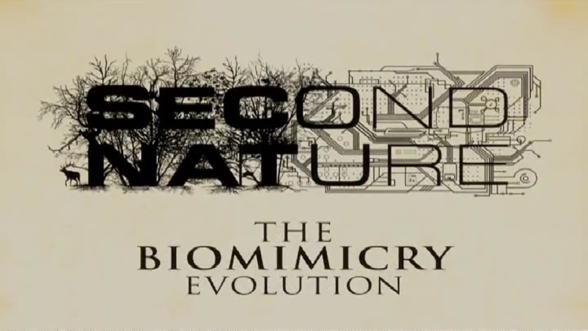 ‎Second Nature: The Biomimicry Evolution - Apple TV