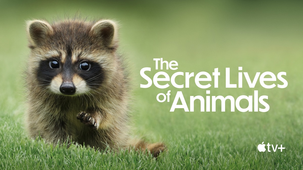 ‎Watch The Secret Lives of Animals - Apple TV+