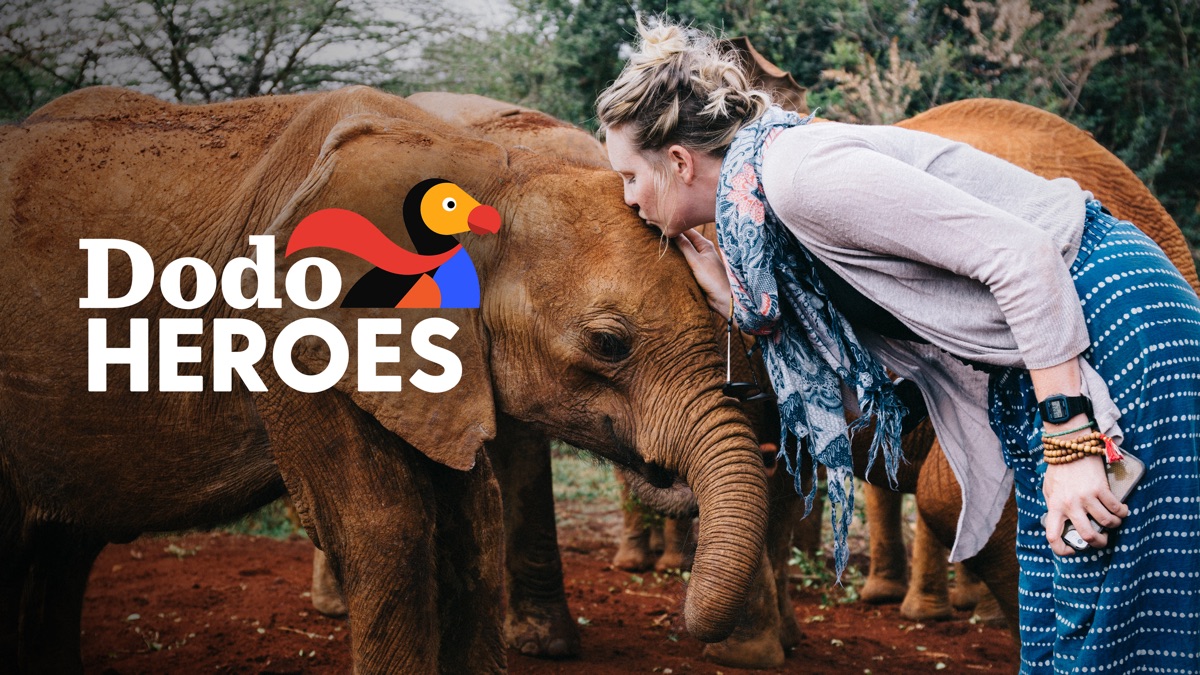 Dodo Heroes | Apple TV