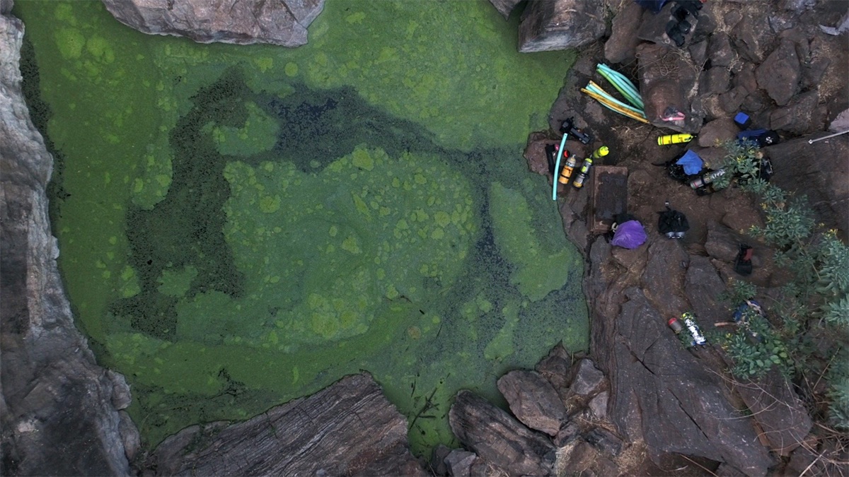 Dave Not Coming Back - Apple TV