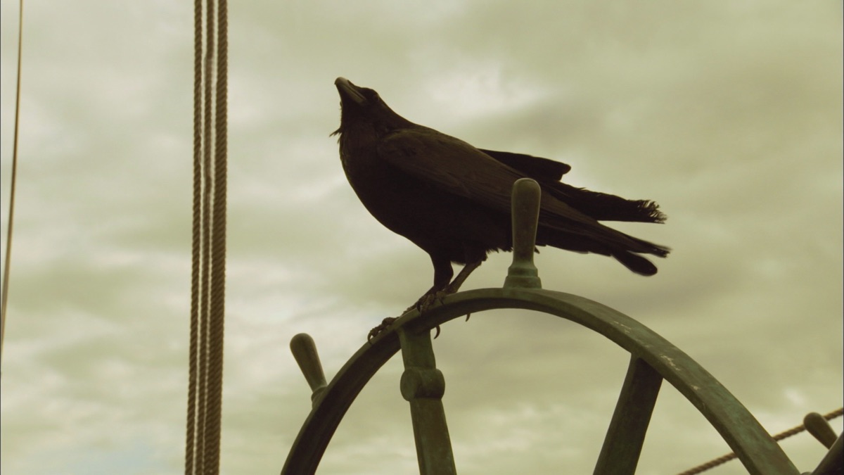 ‎El graznido - El barco (temporada 1, episodio 5) - Apple TV (BO)