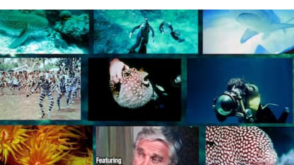 ‎King of the Underwater World - Apple TV