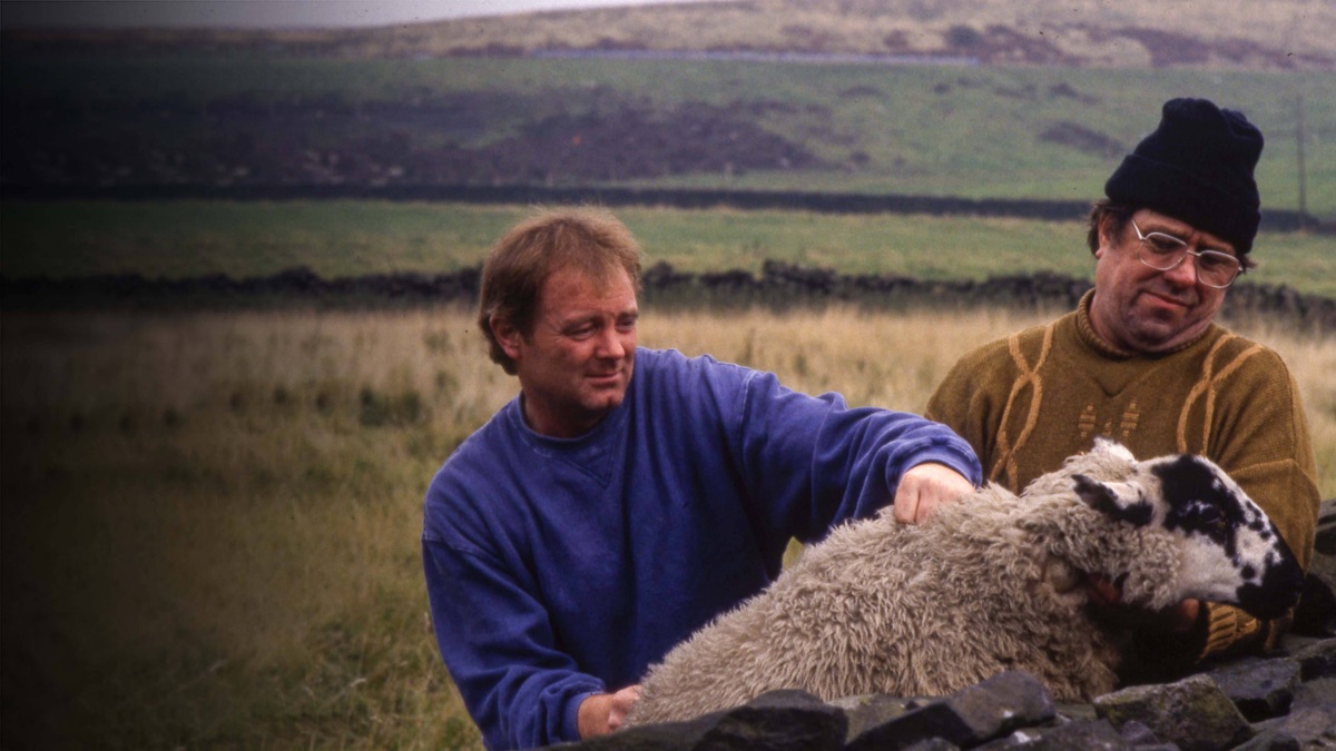 Raining Stones - Apple TV