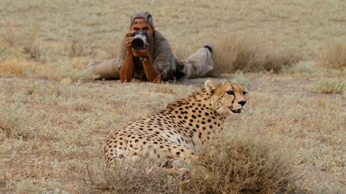 Wild Iran - Apple TV (UK)