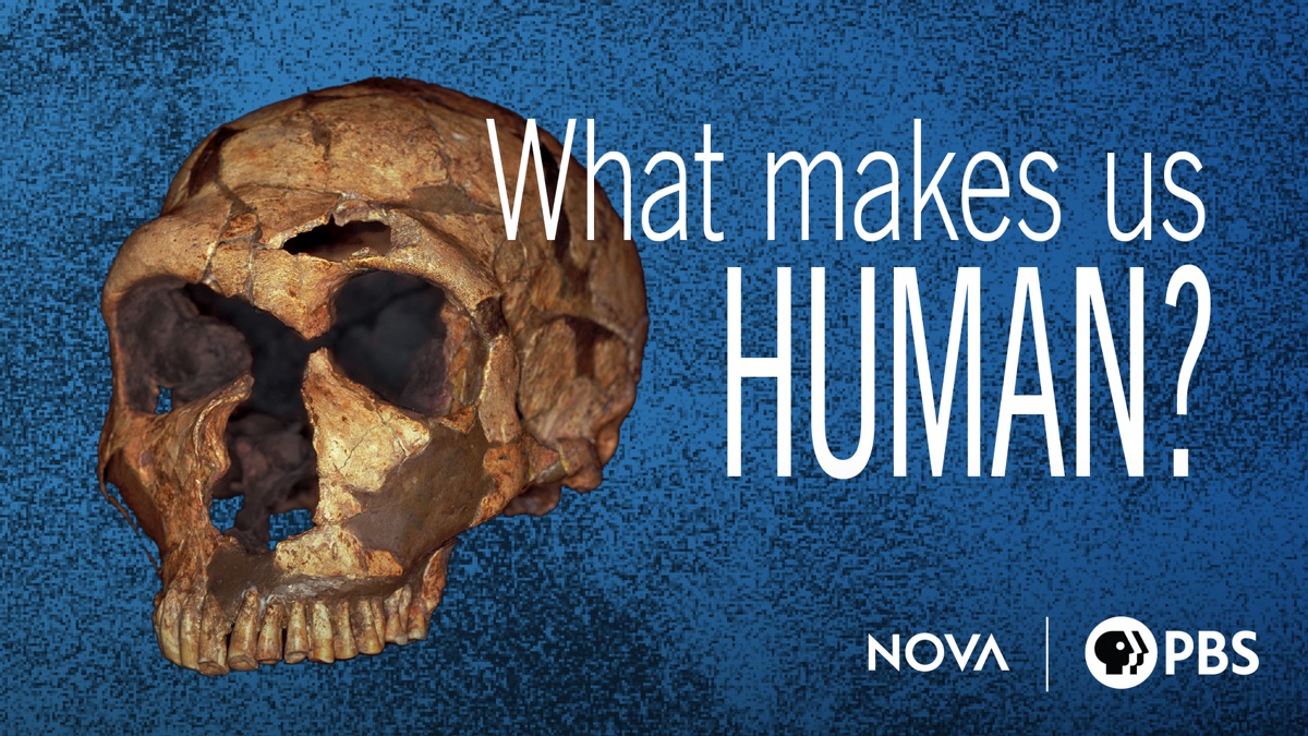 What Makes Us Human? - Apple TV