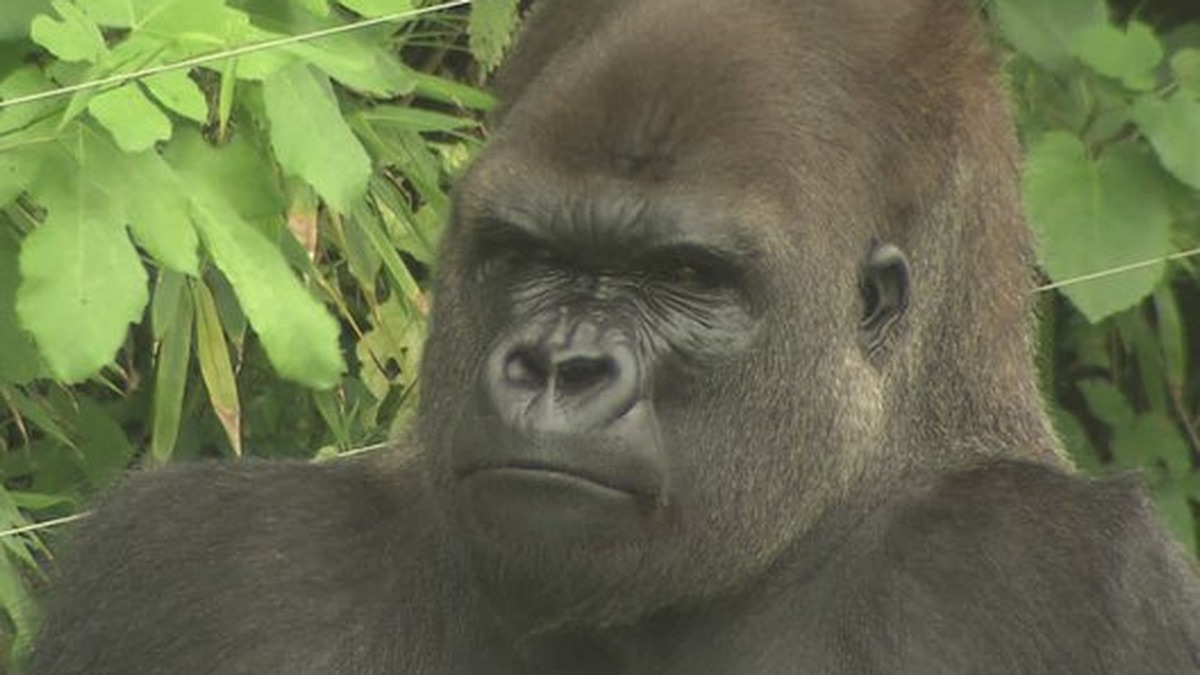 Jersey & Italy - Travel in Style (Season 2, Episode 4) - Apple TV