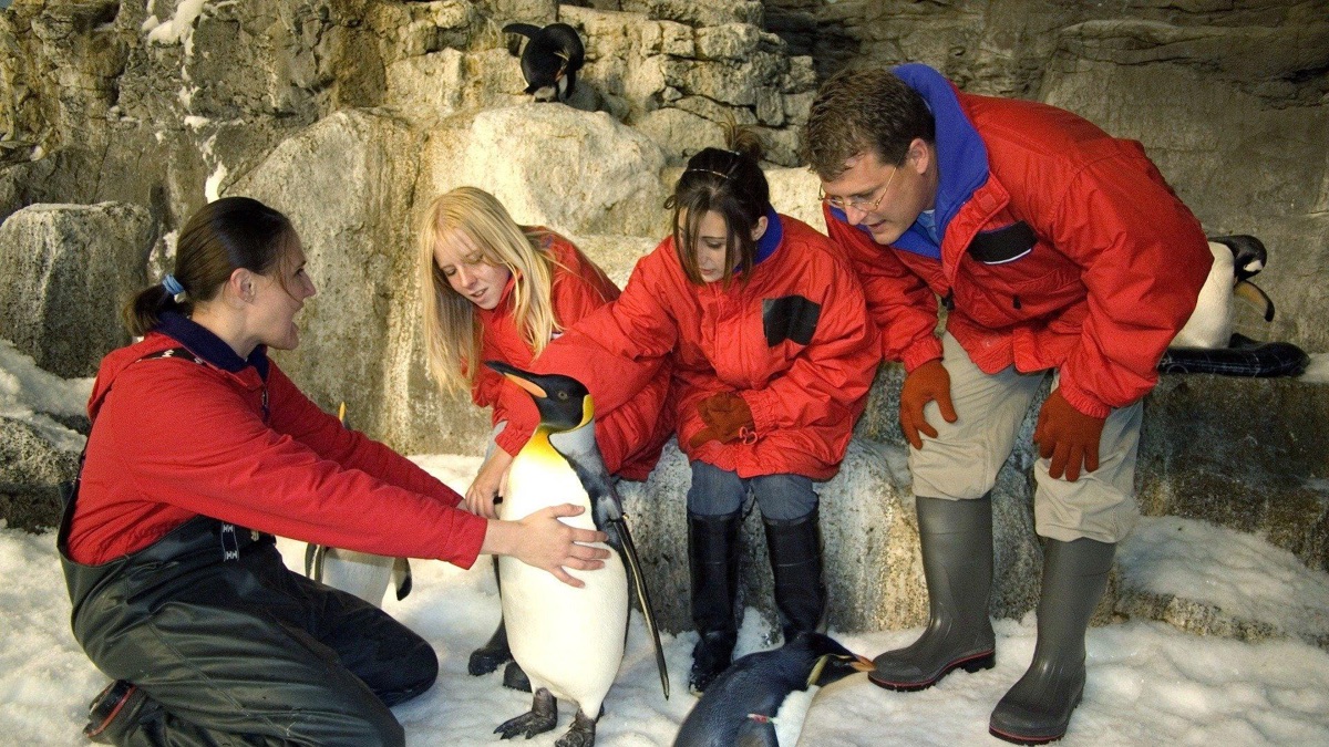 Adventure Camp - Apple TV