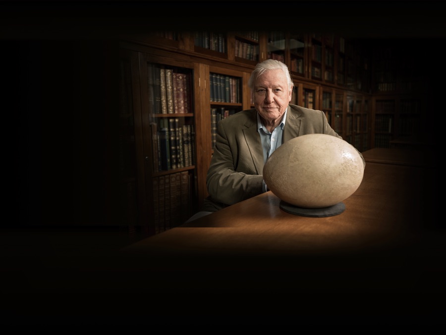 Attenborough's Big Birds - Apple TV