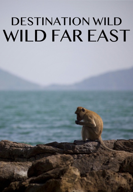 Destination Wild: Wild Far East - Apple TV