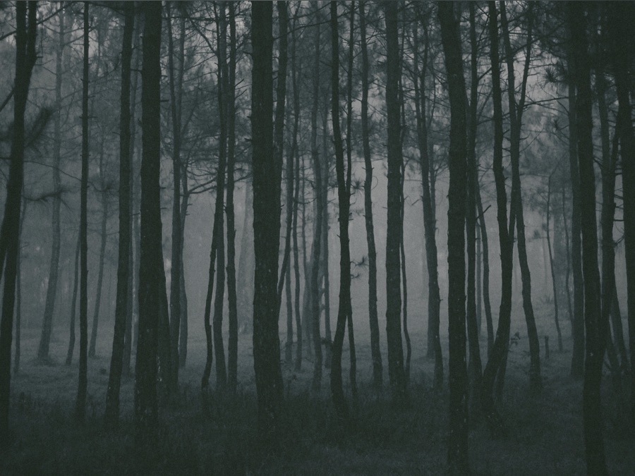 Lost Tapes Swamp Creature