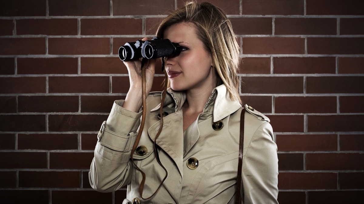 The Lady Detective - The Secrets of Great Mystery and Suspense Fiction ...