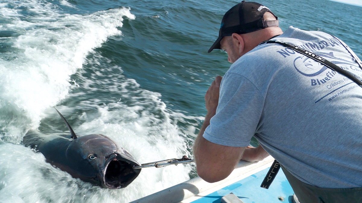 El último de los atunes gigantes - Catching Monsters (temporada 1 ...