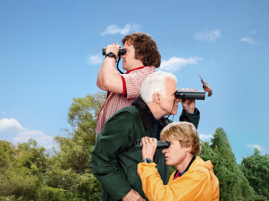 The Big Year - Apple TV