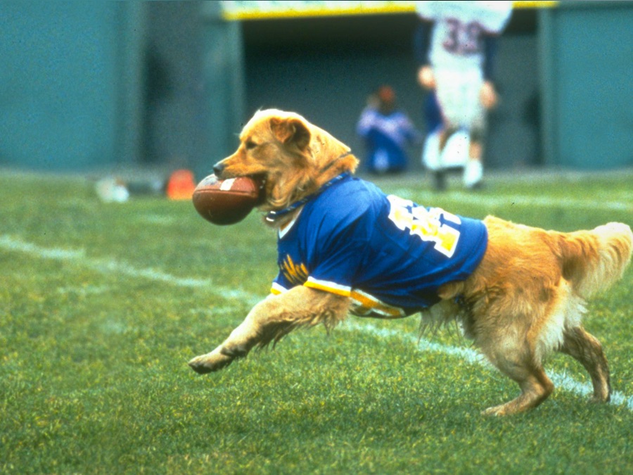 Air Bud: Golden Receiver - Apple TV