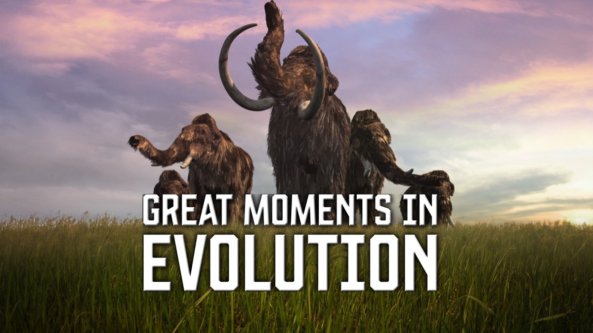 Great Moments in Evolution - Apple TV (UK)