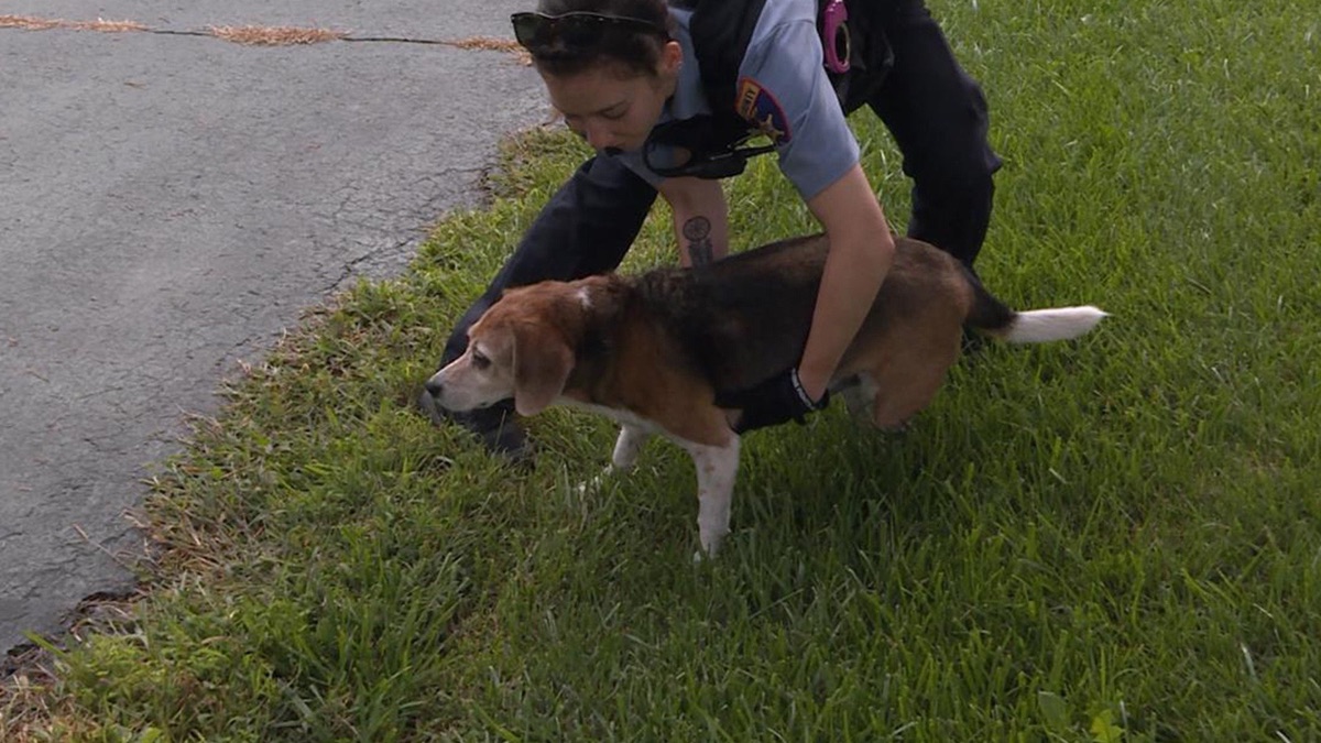 107 - Live PD Presents: Women on Patrol (Season 1, Episode 7) - Apple TV