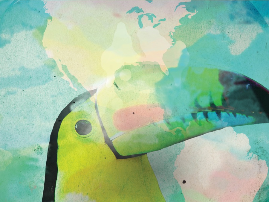 Toucan Nation - Apple TV