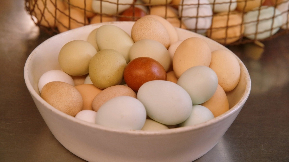 How to Properly Cook an Egg - Martha Cooks (Season 1, Episode 3) - Apple TV