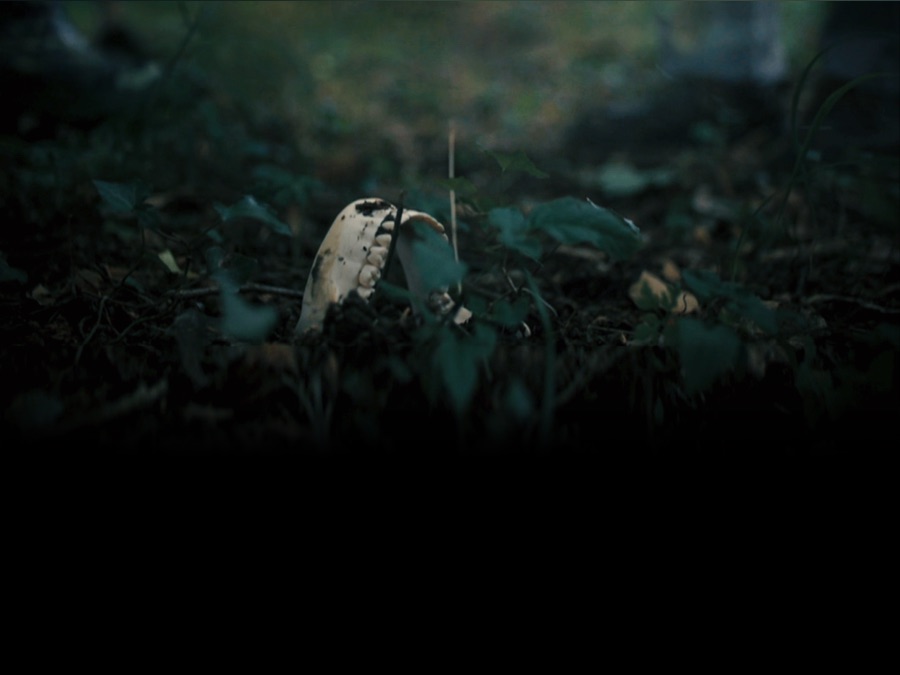 Secrets of a Psychopath - Apple TV (UK)