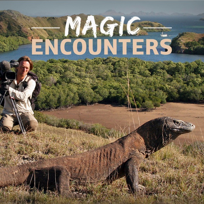 ‎Magic Encounters - Apple TV