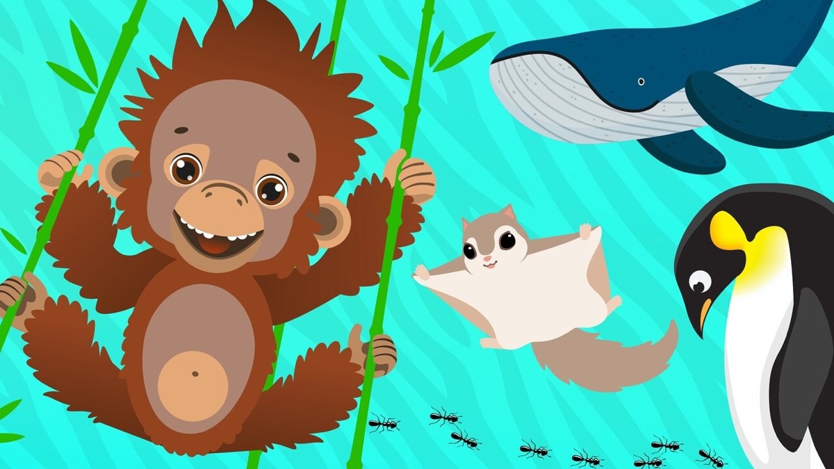 Seven Wild Animal Facts Explained - Colossal Questions (Season 4 ...