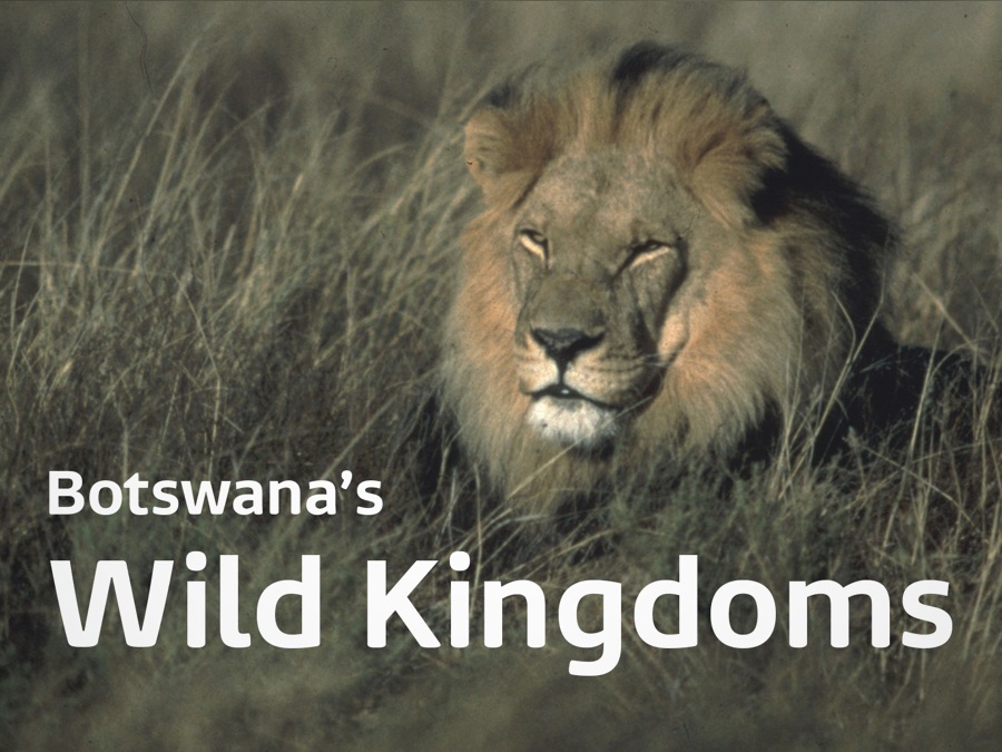 Botswana's Wild Kingdoms - Apple TV