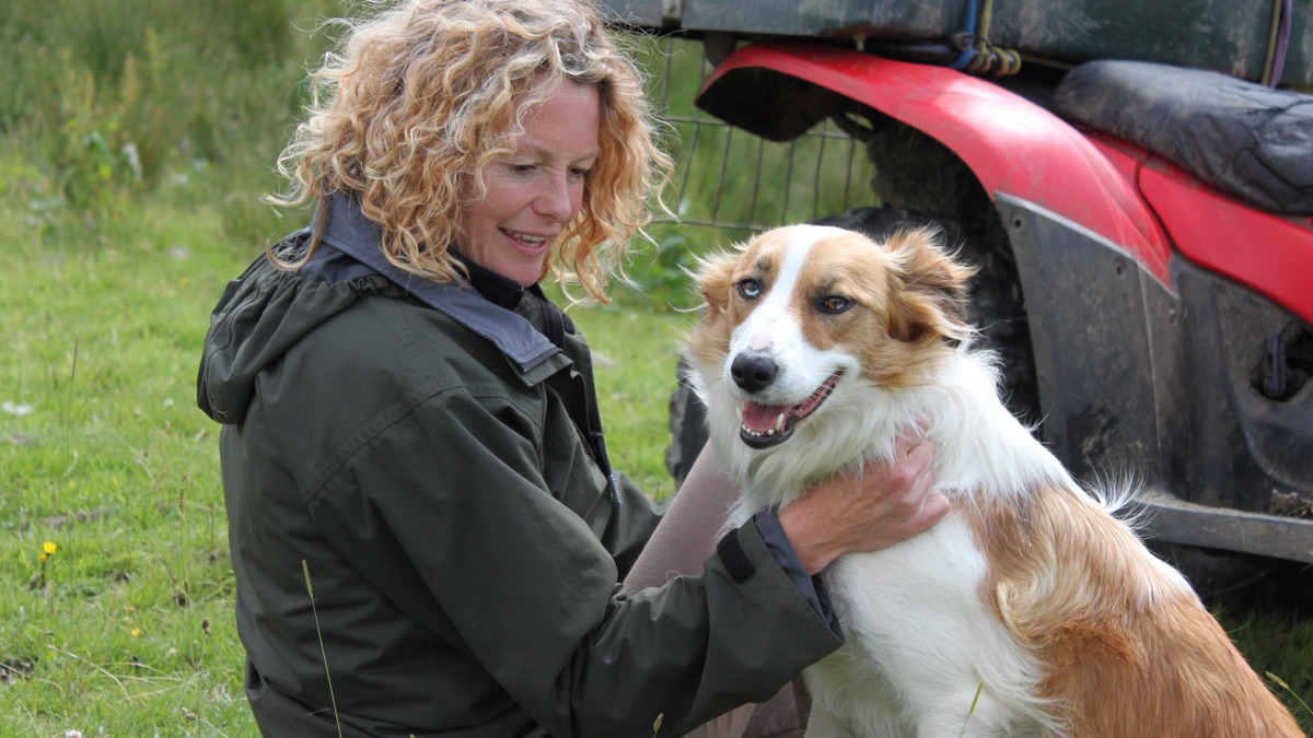 My Welsh Sheepdog - Apple TV (AU)