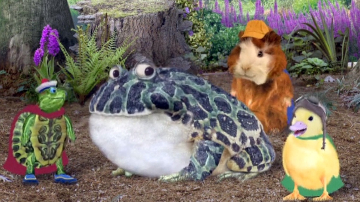 How To Breed A Bullfrog In Pet Shop Story at Essie Elkins blog
