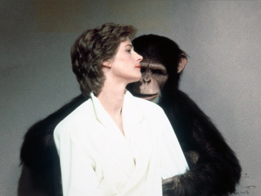 Max mon amour - Apple TV