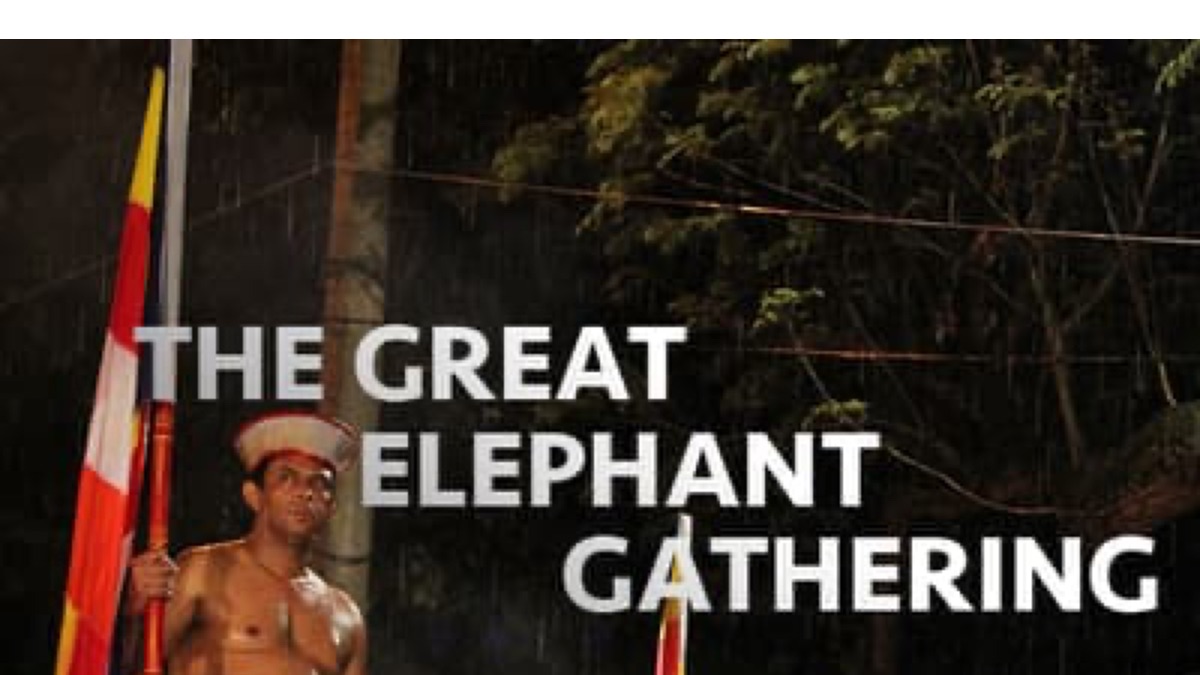 ‎Great Elephant Gathering - Apple TV