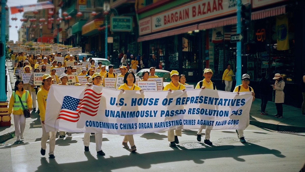 State Organs - Apple TV