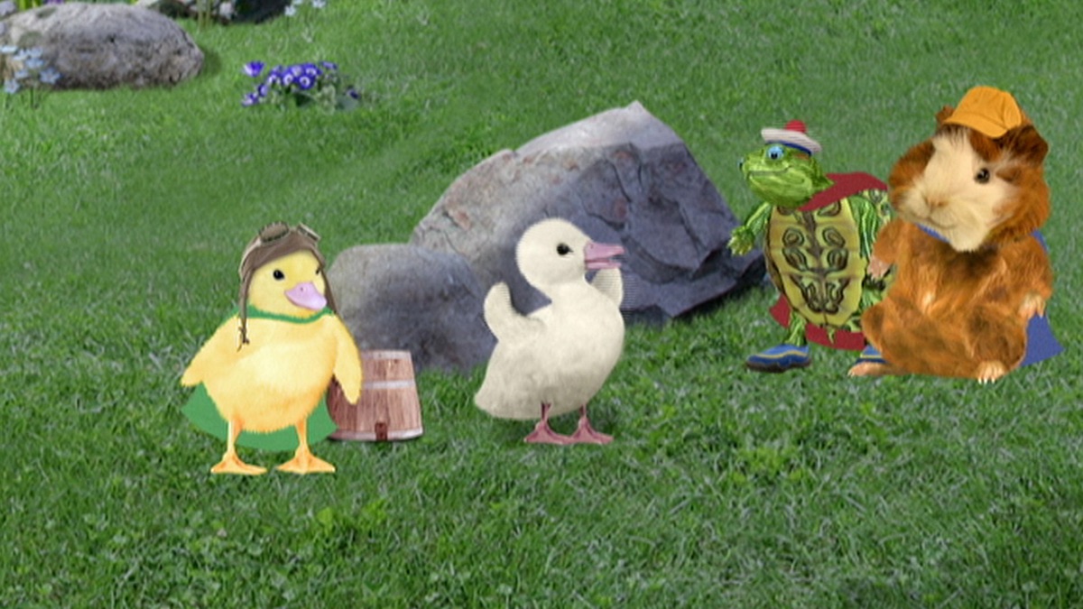 Wonder Pets Save The Pigeon